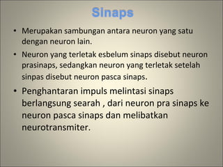 Neuron | PPT | Free Download