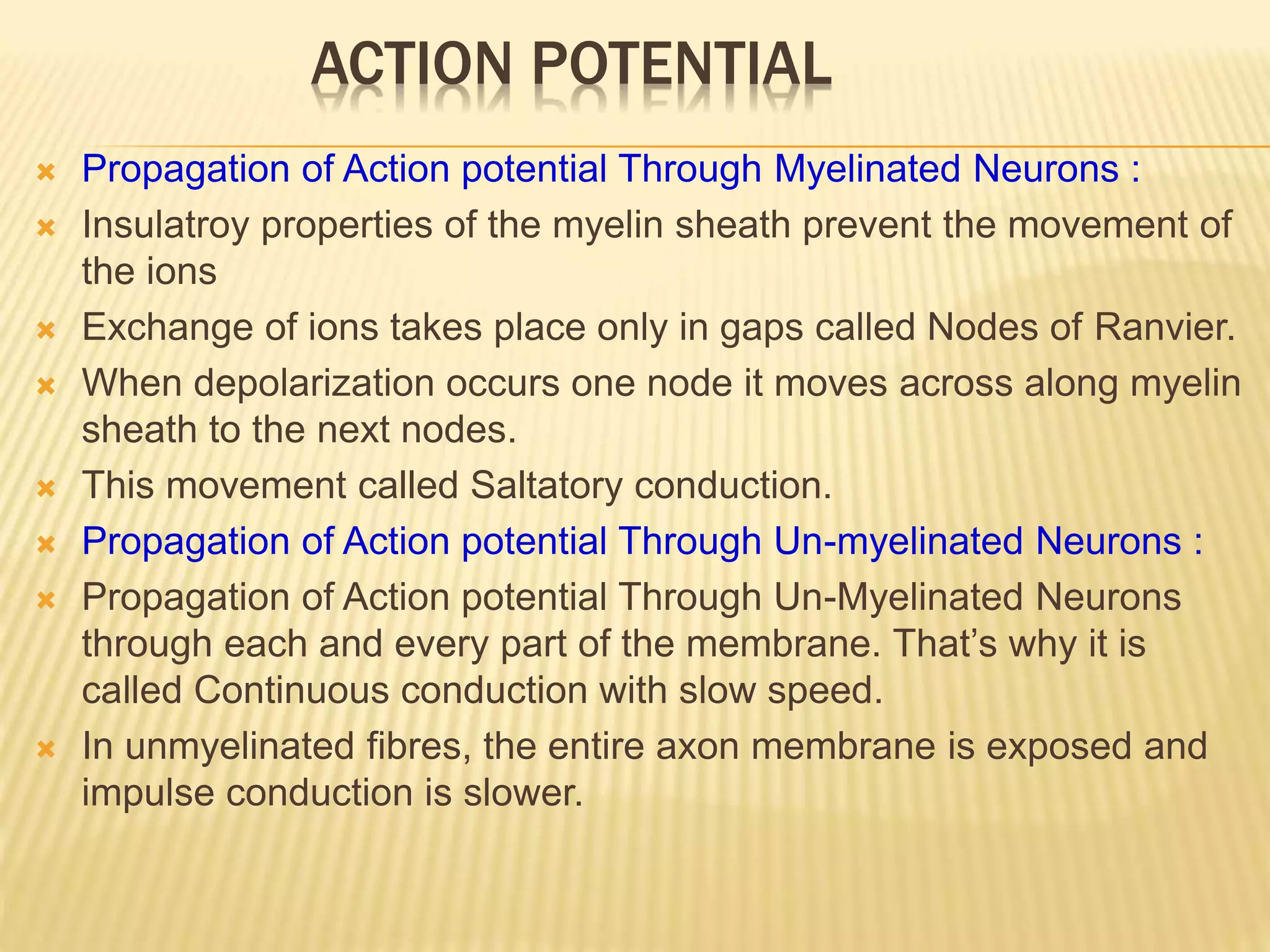 Neuron & its structural & functional type by Murtaza Syed | PPTX
