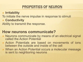 Neuron & its structural & functional type by Murtaza Syed | PPTX