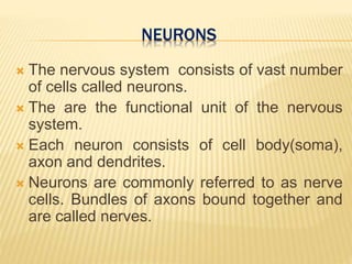Neuron & its structural & functional type by Murtaza Syed | PPTX