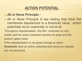 Neuron & its structural & functional type by Murtaza Syed | PPTX