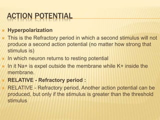 Neuron & its structural & functional type by Murtaza Syed | PPT