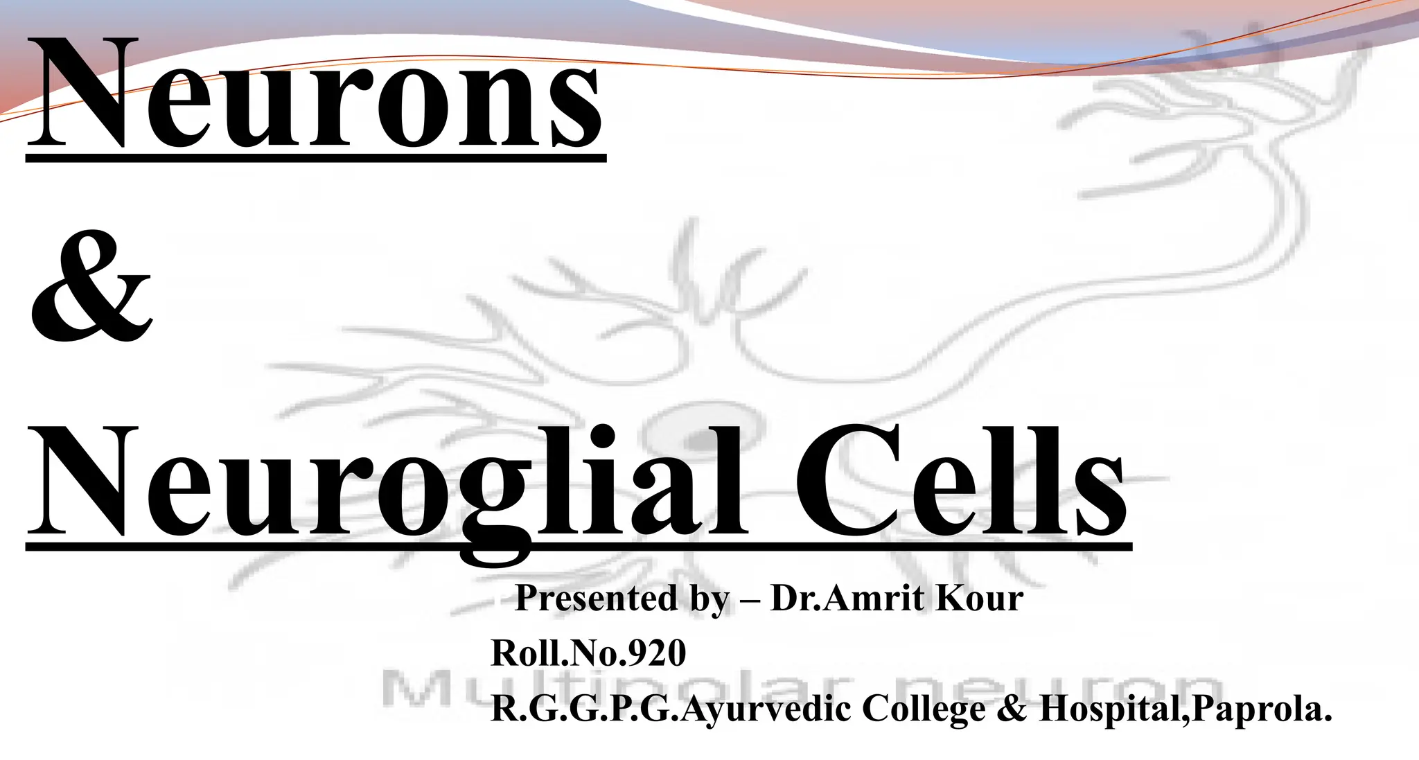 NERVOUS SYSTEM - Neuron & Neuroglial cells - STRUCTURE OF NEURON AND ...