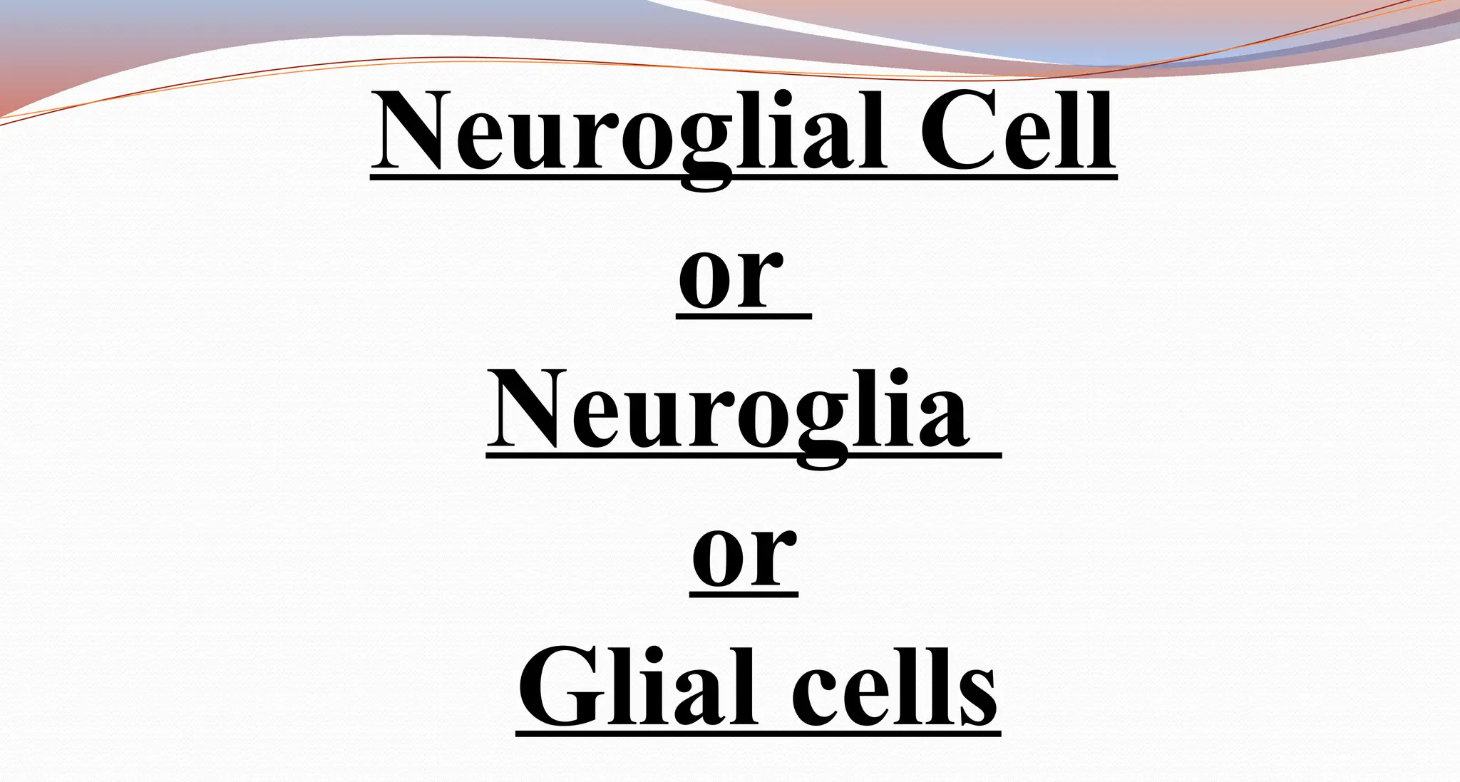 NERVOUS SYSTEM - Neuron & Neuroglial cells - STRUCTURE OF NEURON AND ...