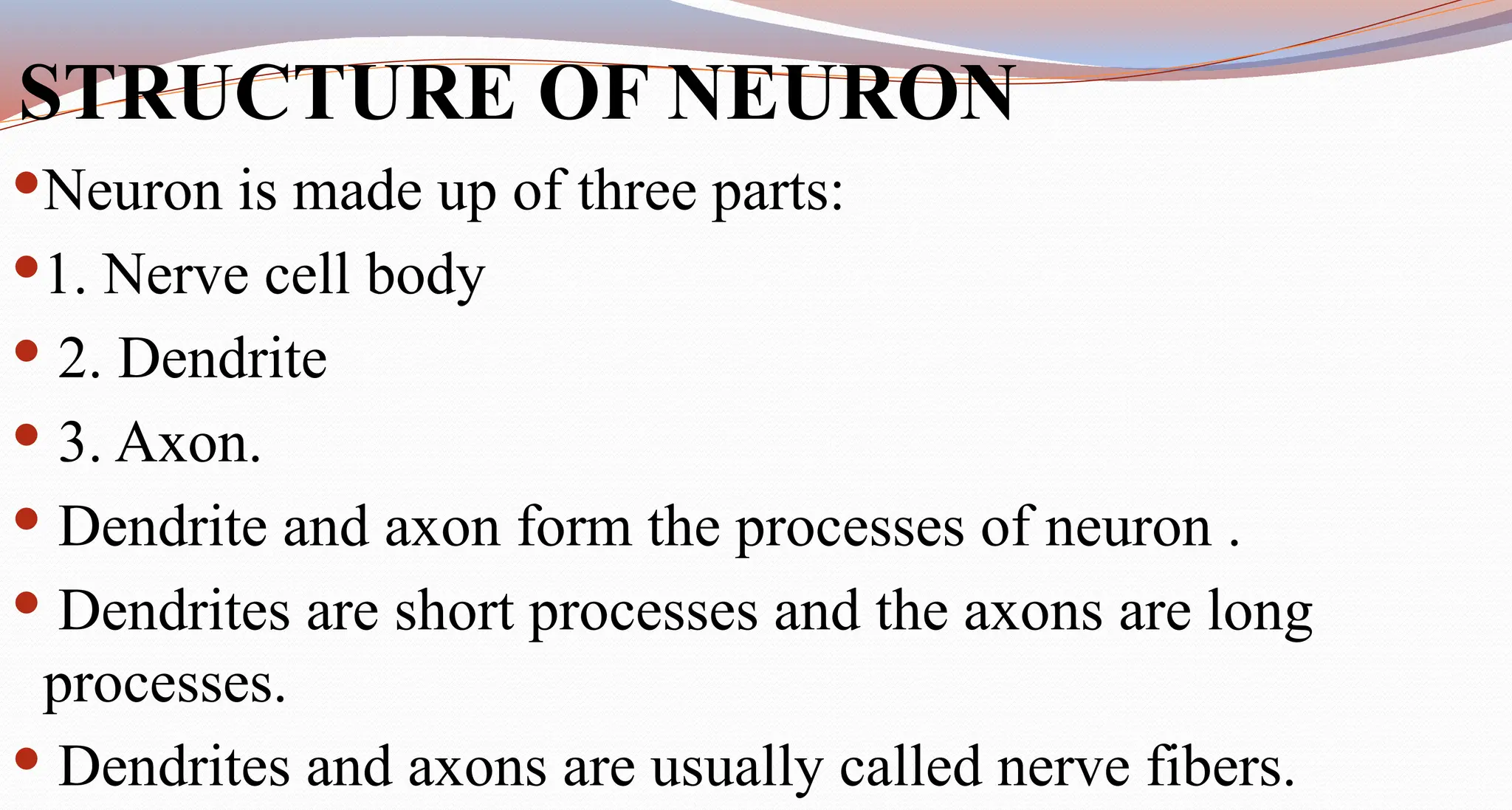 NERVOUS SYSTEM - Neuron & Neuroglial cells - STRUCTURE OF NEURON AND ...