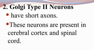 NERVOUS SYSTEM - Neuron & Neuroglial cells - STRUCTURE OF NEURON AND ...