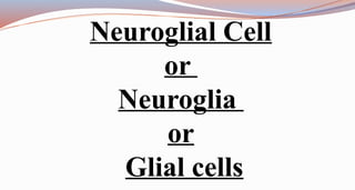 NERVOUS SYSTEM - Neuron & Neuroglial cells - STRUCTURE OF NEURON AND ...
