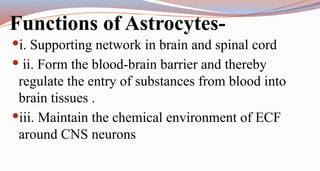 NERVOUS SYSTEM - Neuron & Neuroglial cells - STRUCTURE OF NEURON AND ...