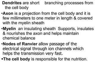 NEURON physiology carrer medical college and hospital | PPTX