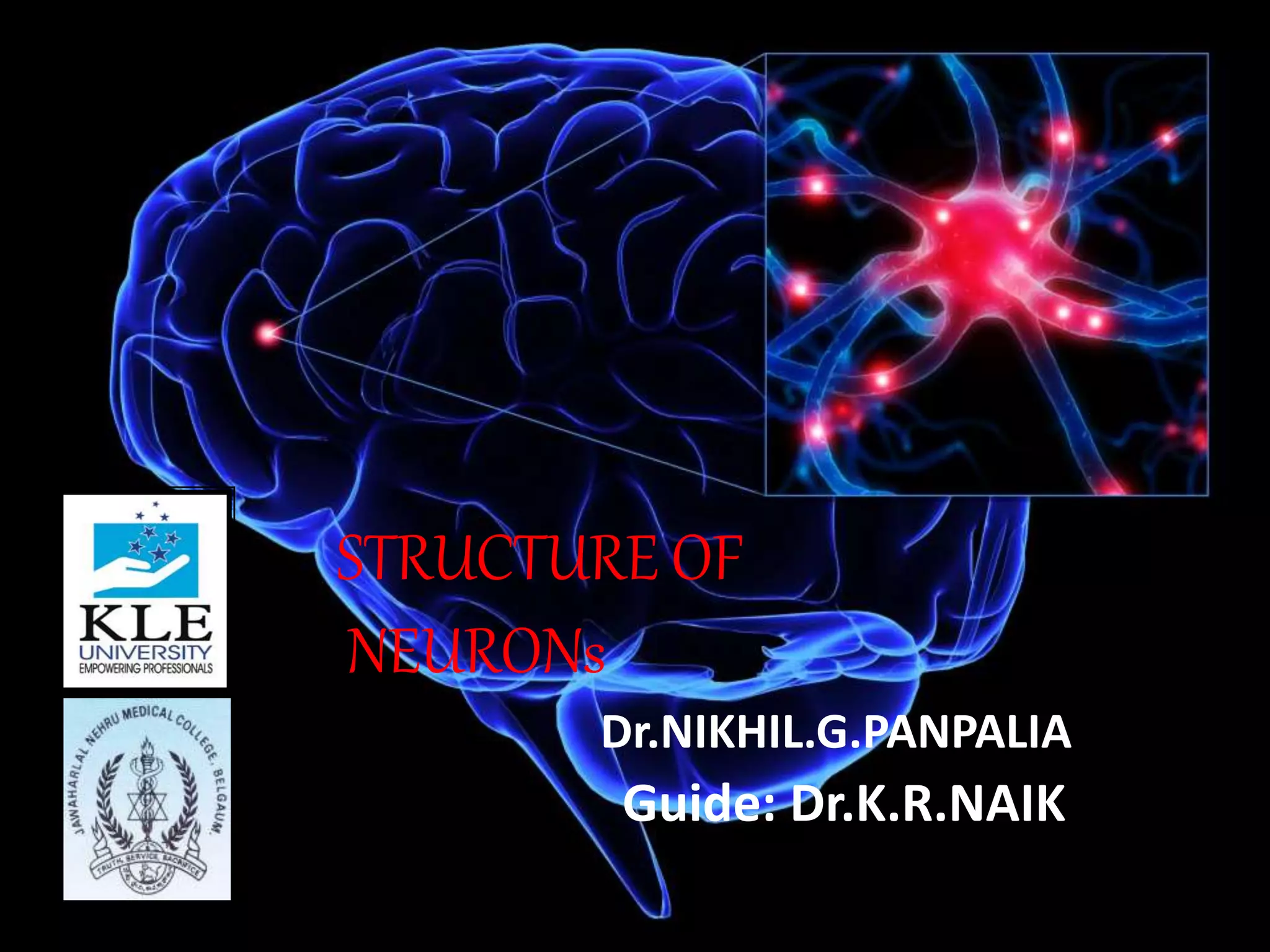 structure of neuron | PPTX