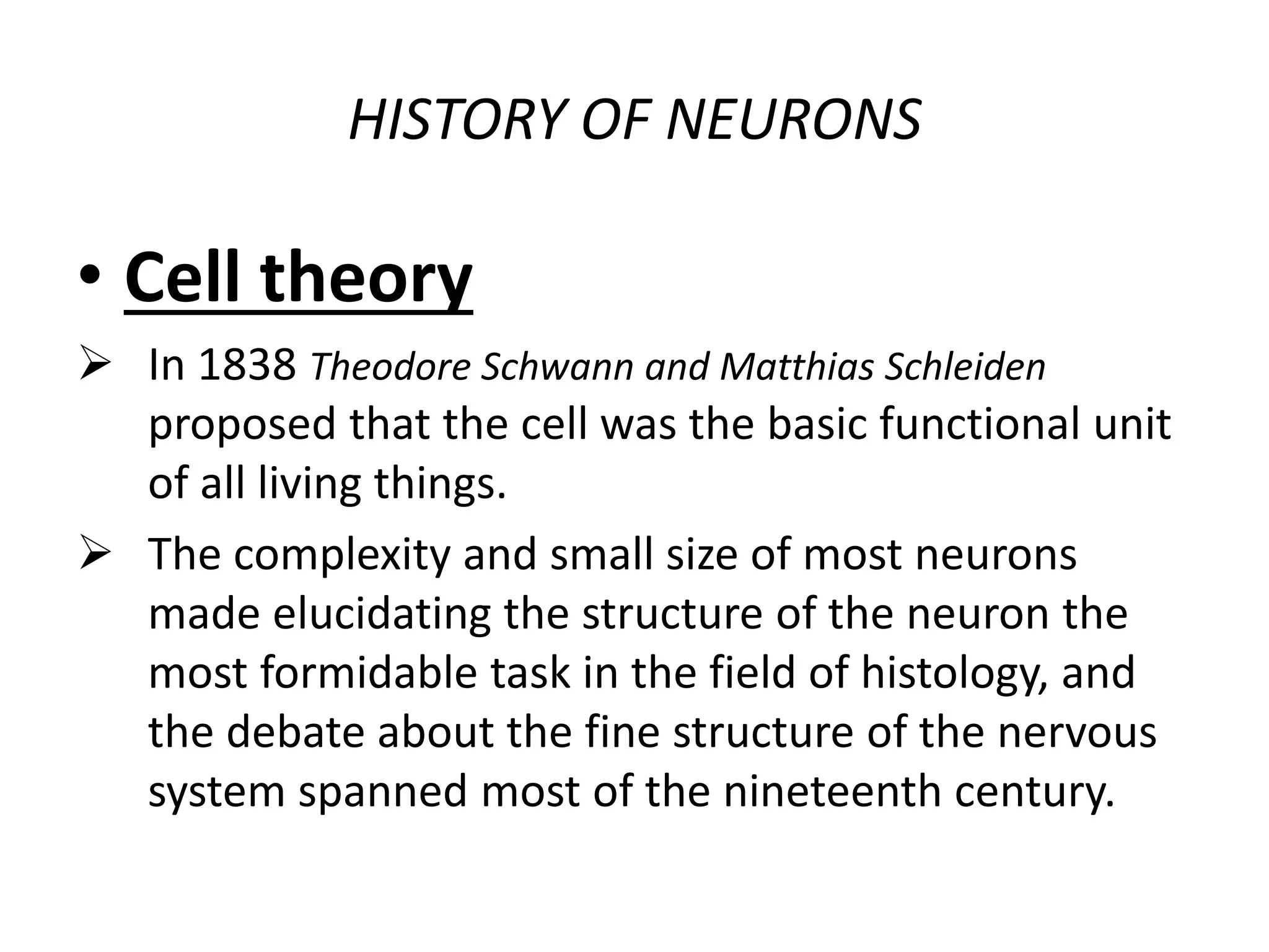 structure of neuron | PPTX