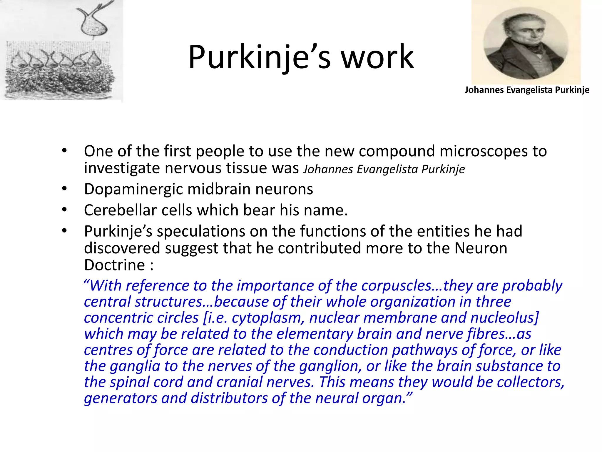 structure of neuron | PPTX
