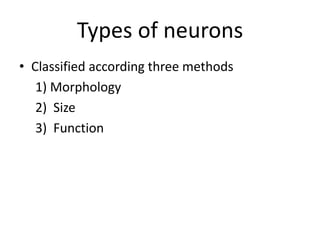 structure of neuron | PPTX