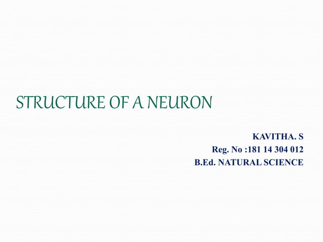 Structure of Neuron | PPT