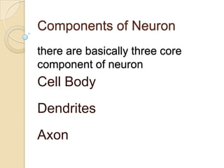 Neurons | PPTX