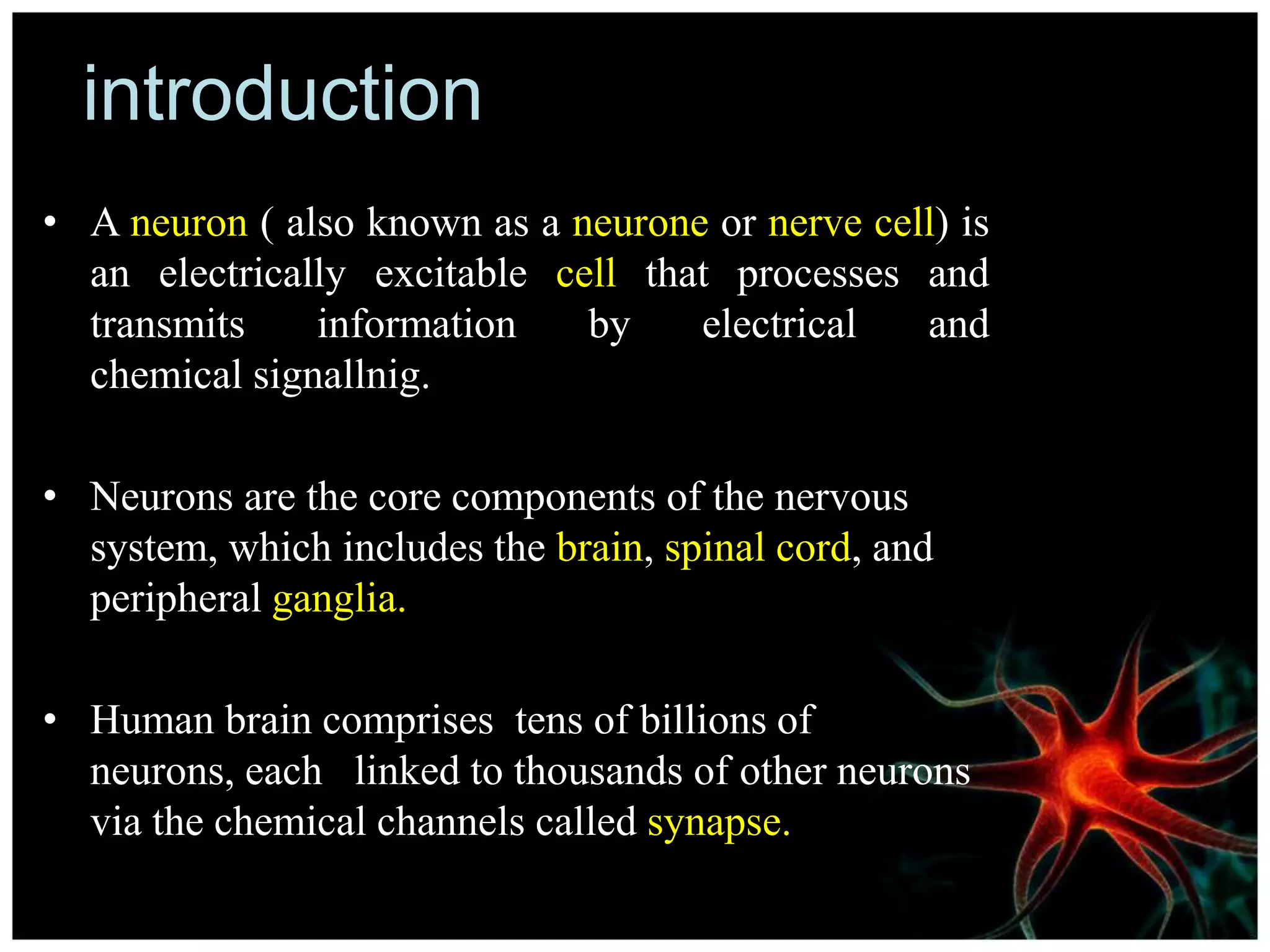 Neurons | PPTX