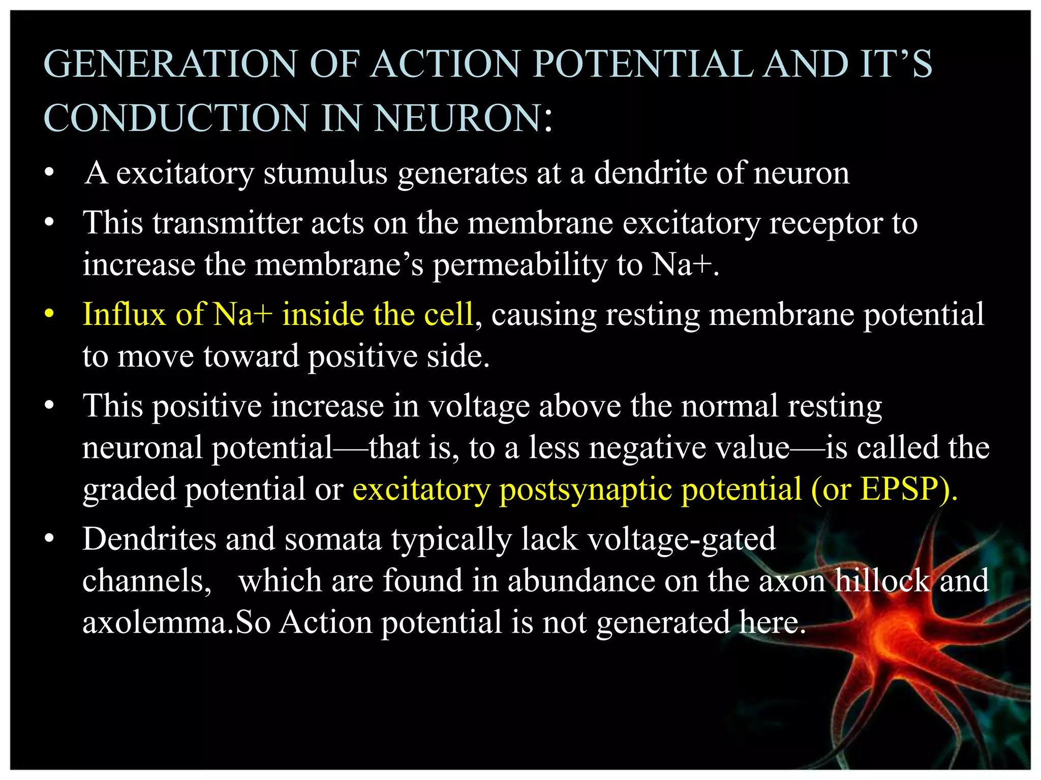 Neurons | PPTX