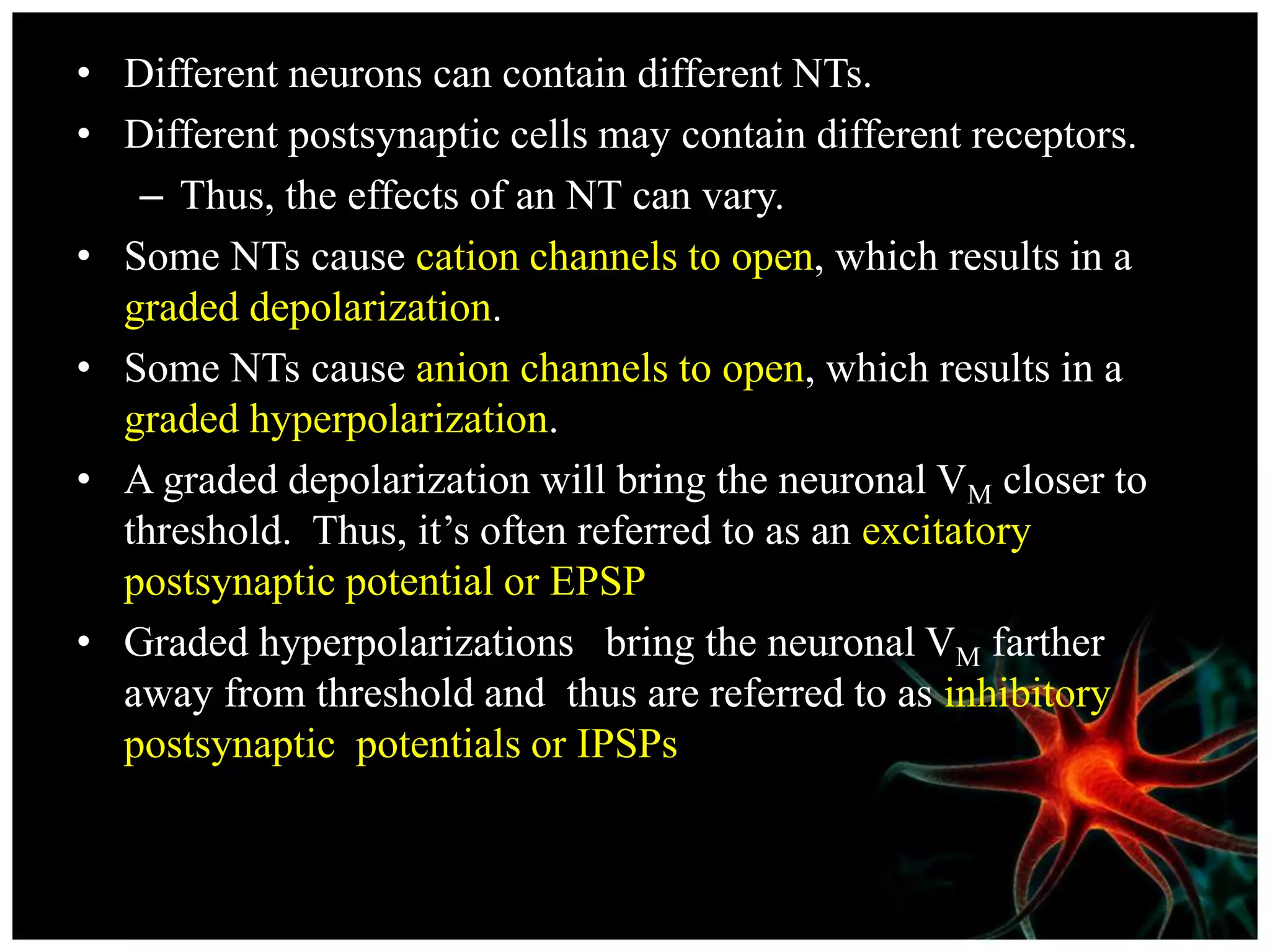 Neurons | PPTX