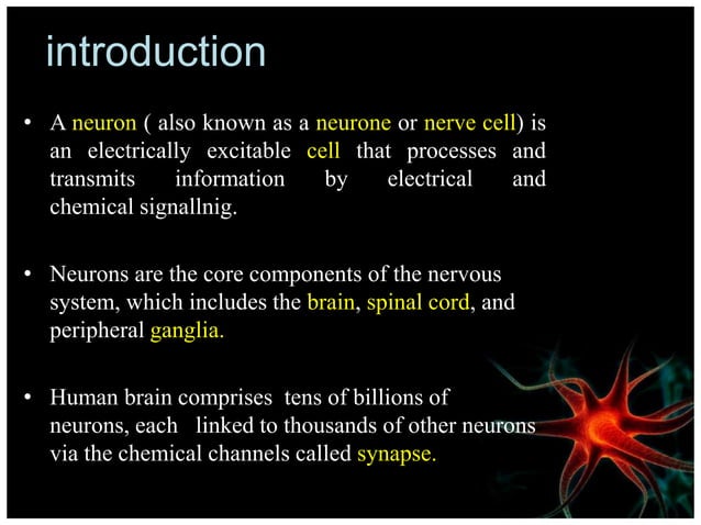 Neurons | PPTX | Brain and Nervous System Disorders | Diseases and ...