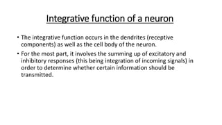 Neurons | PPTX