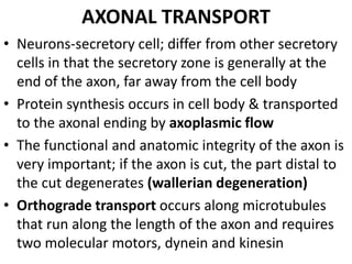 Neurons.pptx............................... | PPT