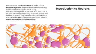 A presentation on Neurons of human brain.pdf