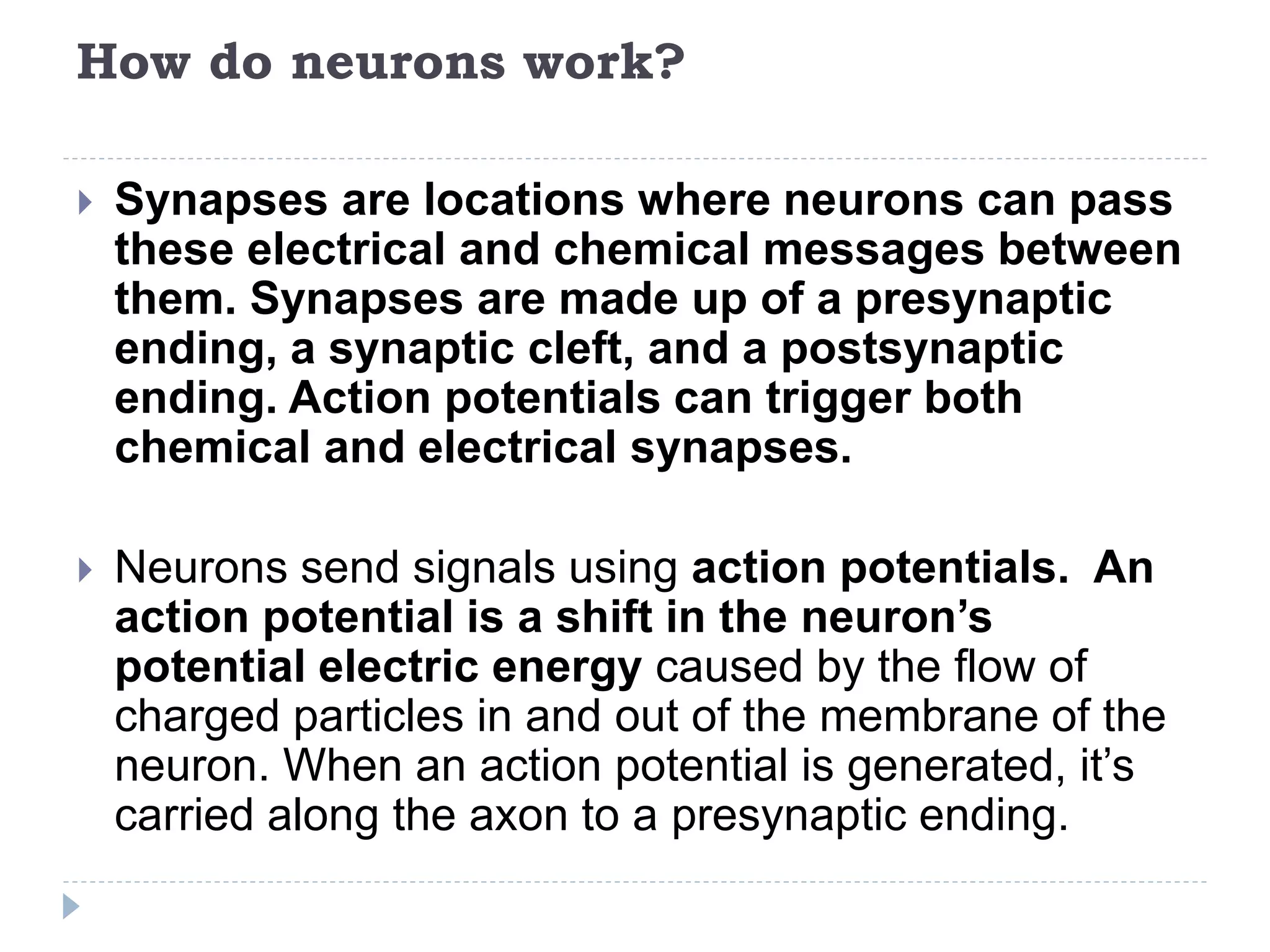 Neurons -Types.pptx