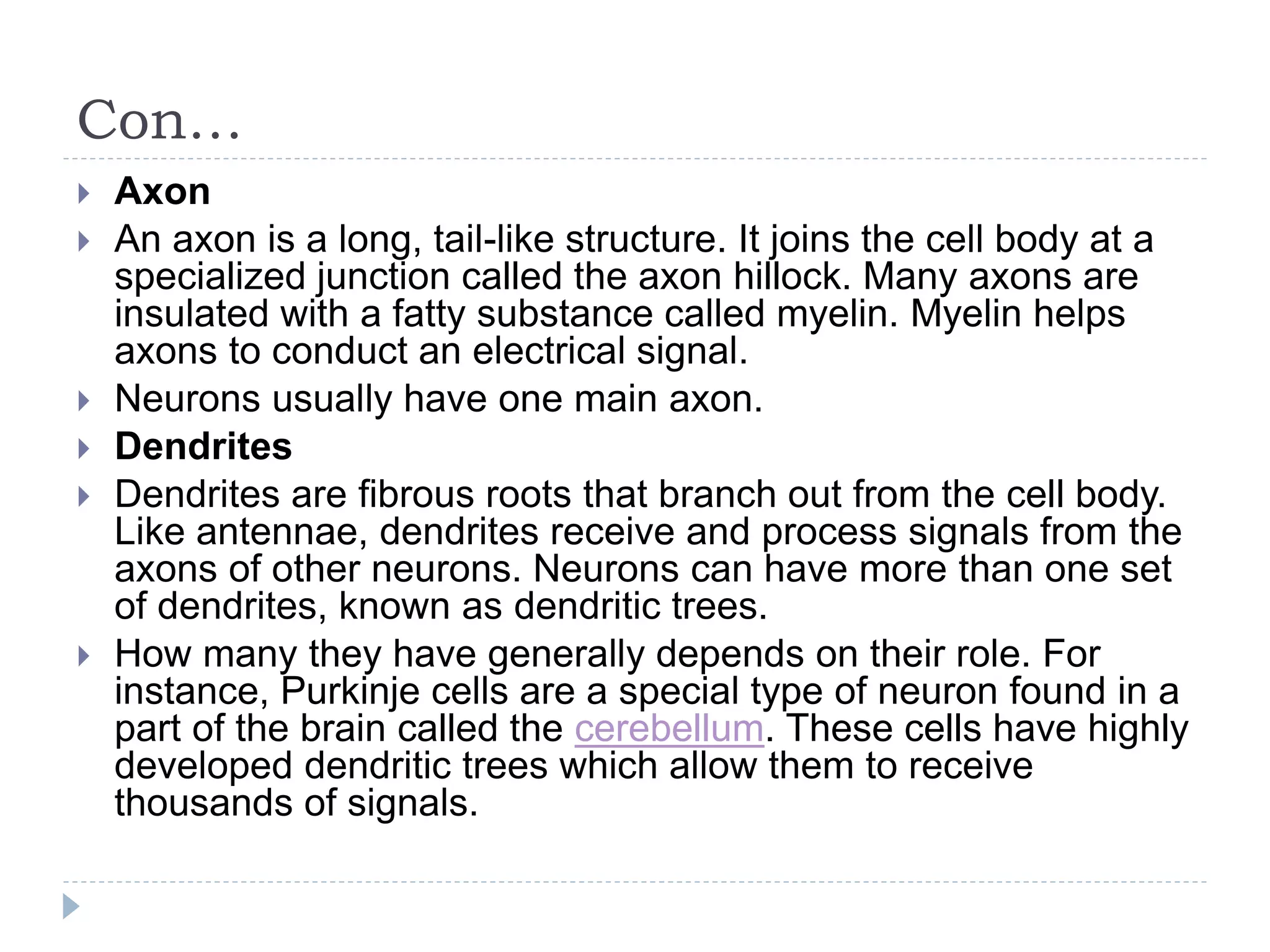 Neurons -Types.pptx