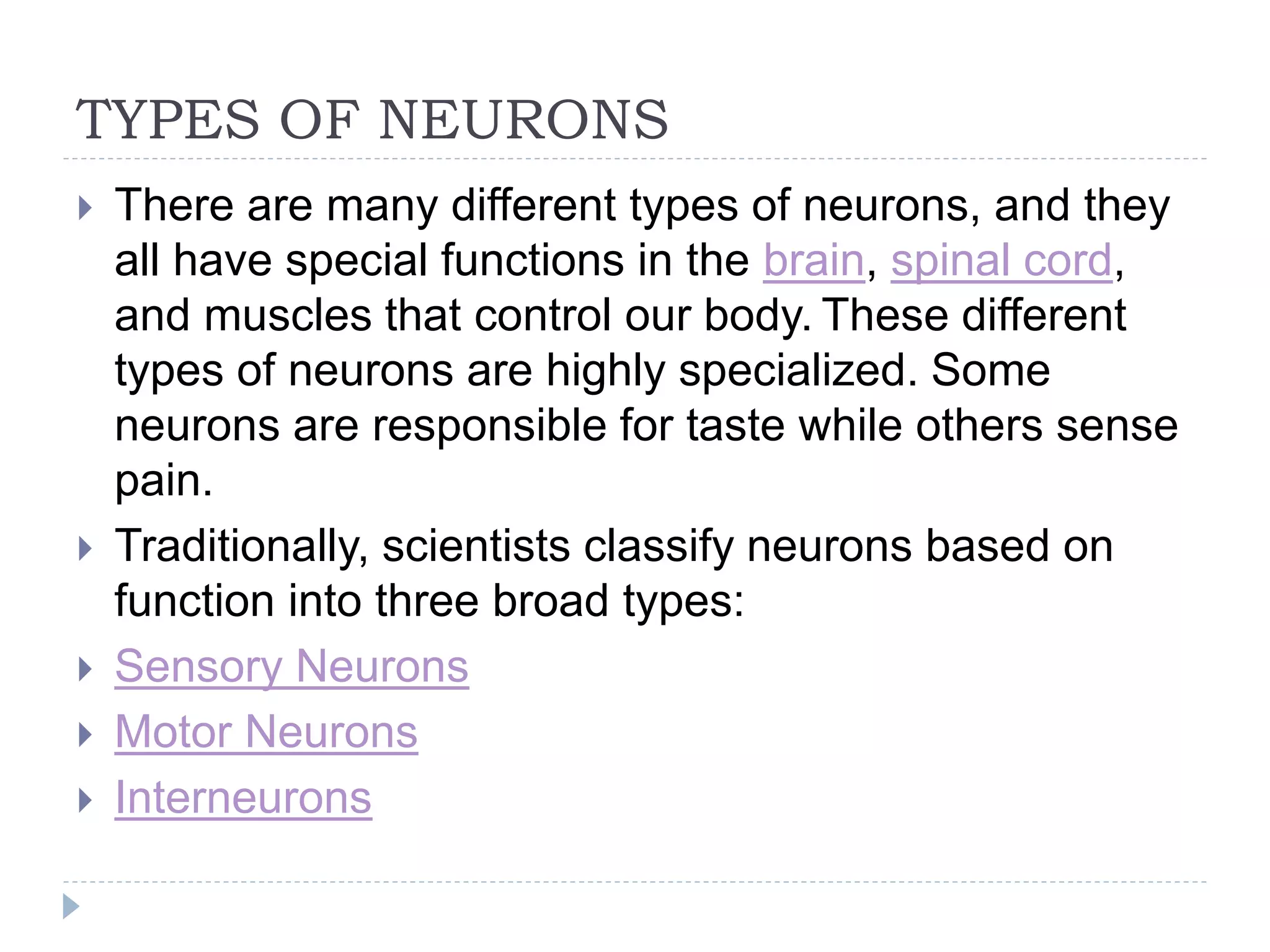 Neurons -Types.pptx