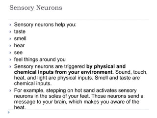 Neurons -Types.pptx