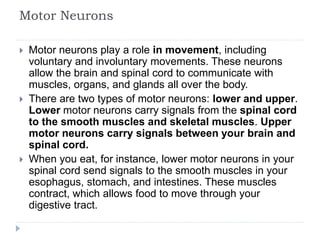 Neurons -Types.pptx