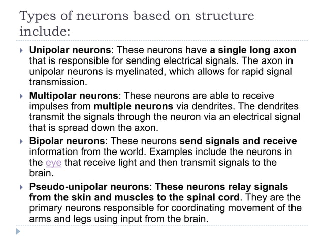 Neurons -Types.pptx | Brain and Nervous System Disorders | Diseases and ...
