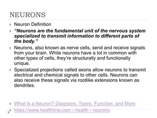 Neurons -Types.pptx