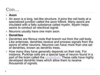 Neurons -Types.pptx