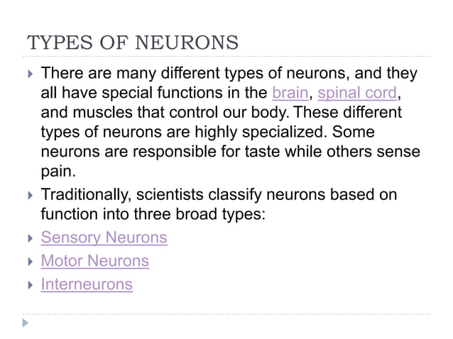 Neurons -Types.pptx | Brain and Nervous System Disorders | Diseases and ...
