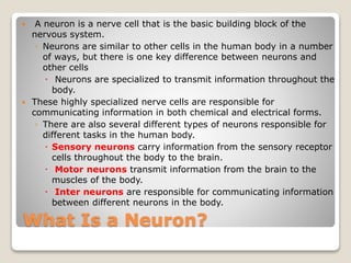 Neurons and its structure | PPTX