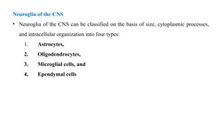 Nervous System (Neurons and Neuroglia).pptx