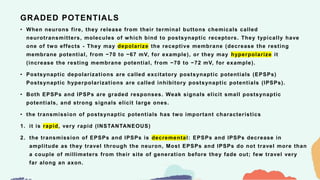 Neurons and the glia.pptx