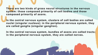 Neurons and the glia.pptx | Brain and Nervous System Disorders ...