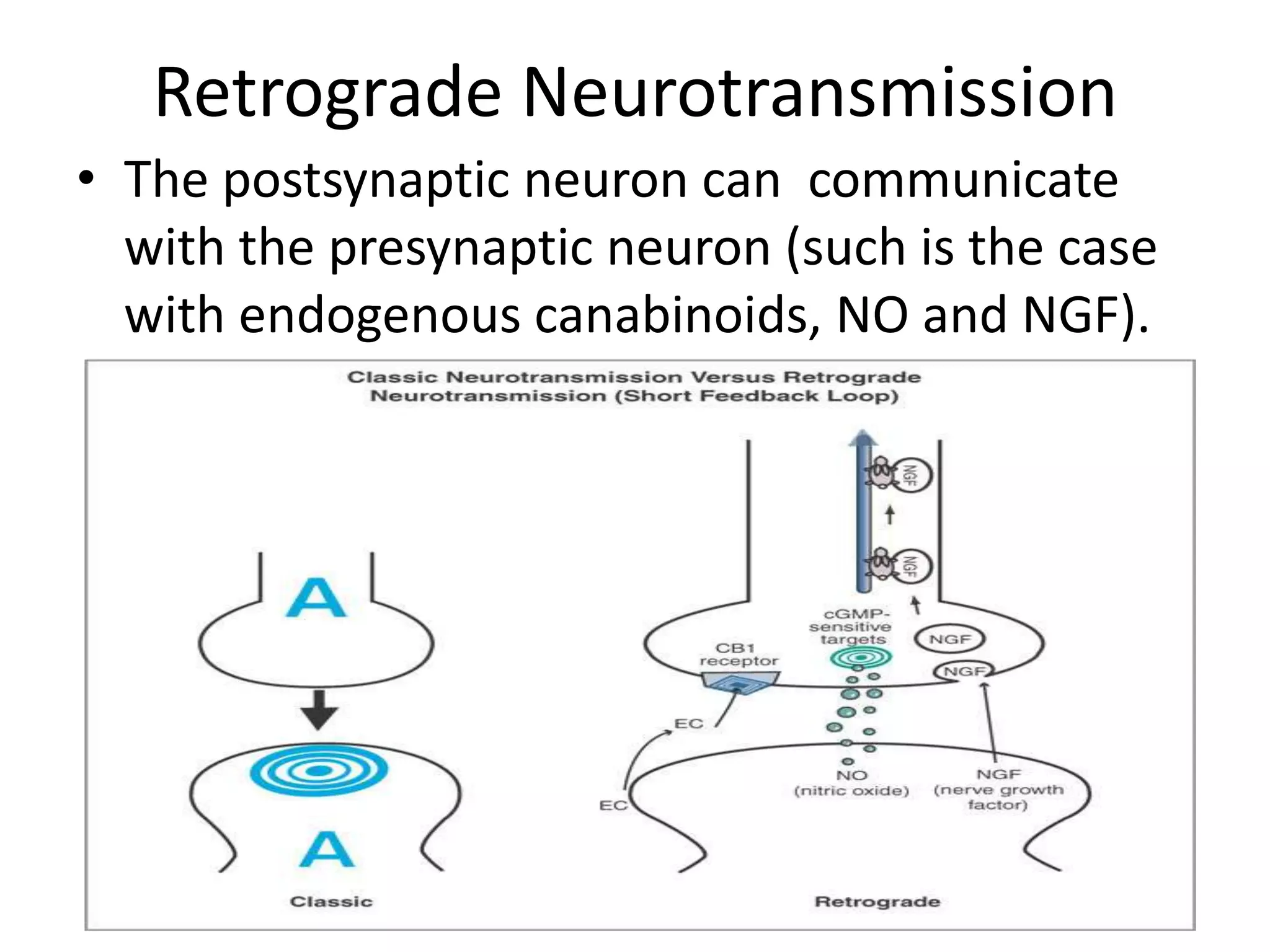 Neurons, communication and transduction | PPTX
