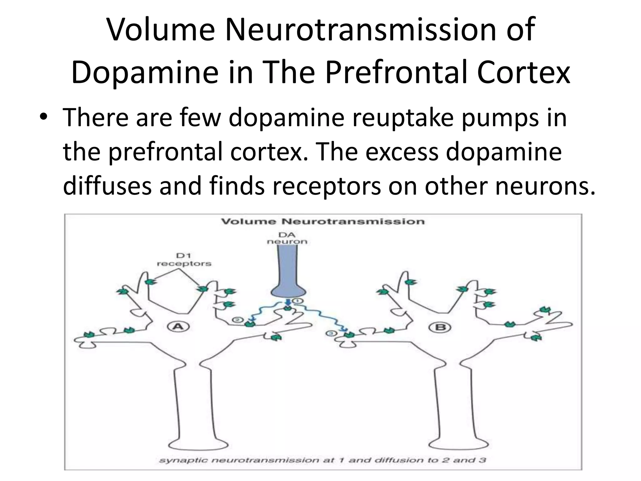 Neurons, communication and transduction | PPTX