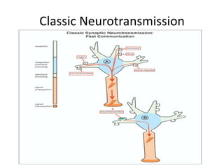 Neurons, communication and transduction | PPTX