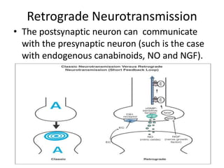 Neurons, communication and transduction | PPTX