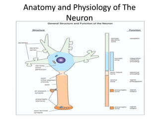 Neurons, communication and transduction | PPTX