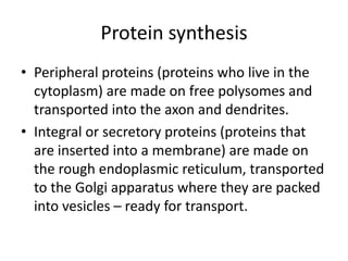 Neurons, communication and transduction | PPTX