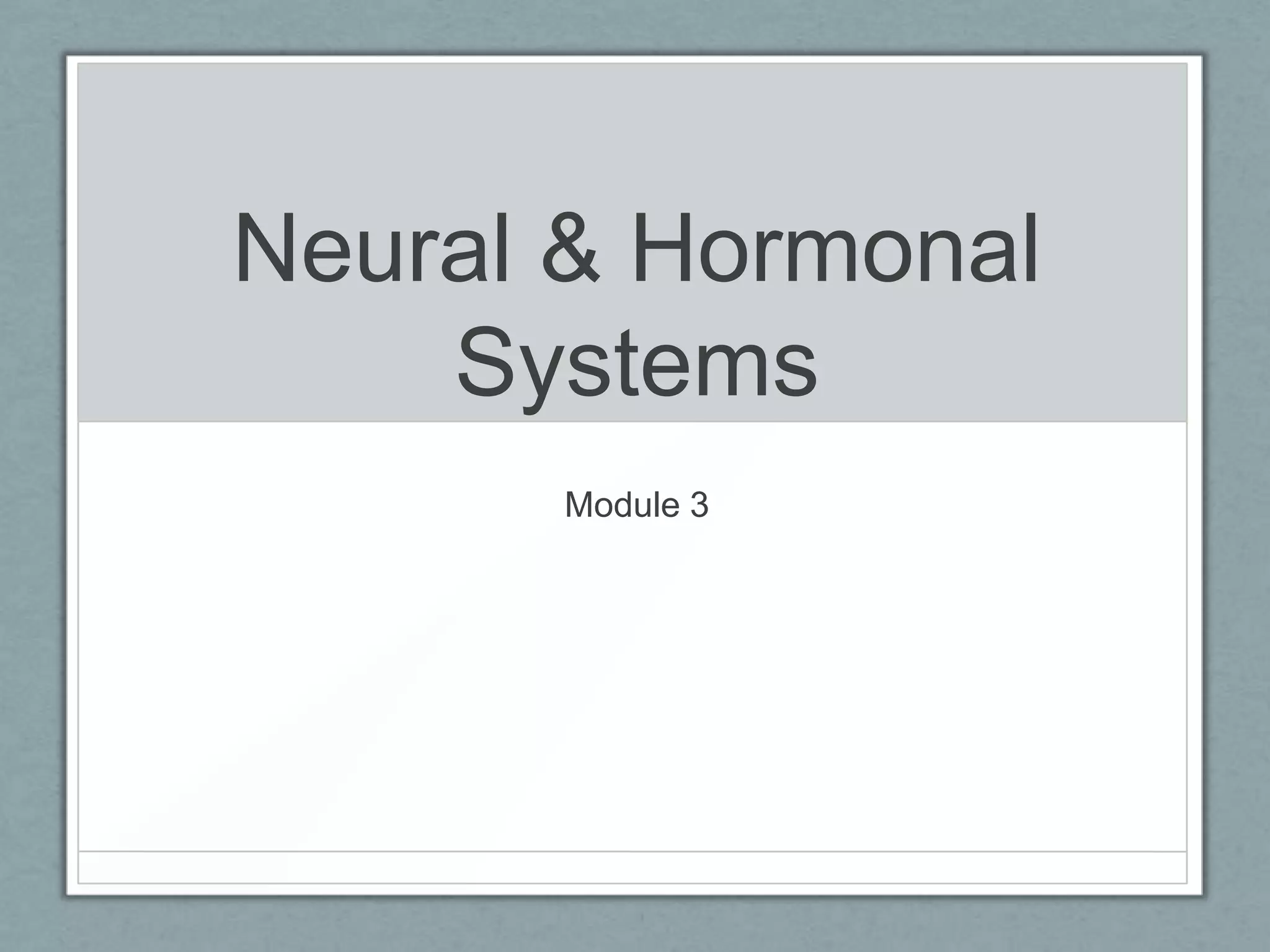 Neurons & hormonal systems | PPTX