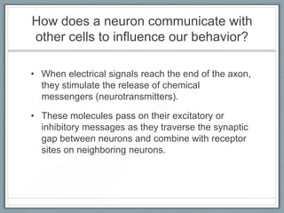 Neurons & hormonal systems | PPT