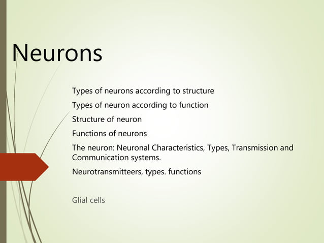 Introduction to neurons | PPTX