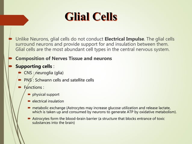 Introduction to neurons | PPTX