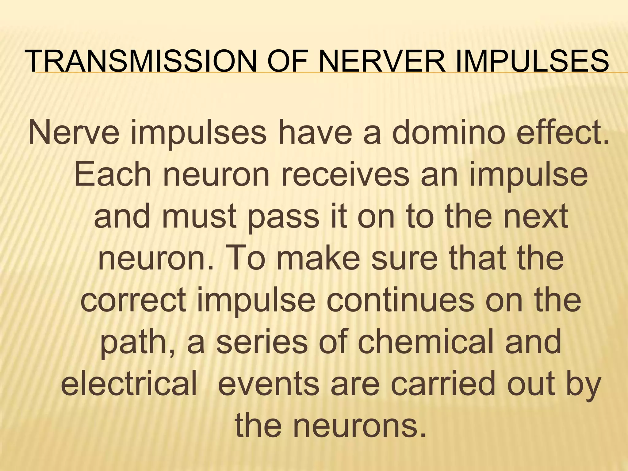 Neurons and transmission of nerve impulses | PPTX